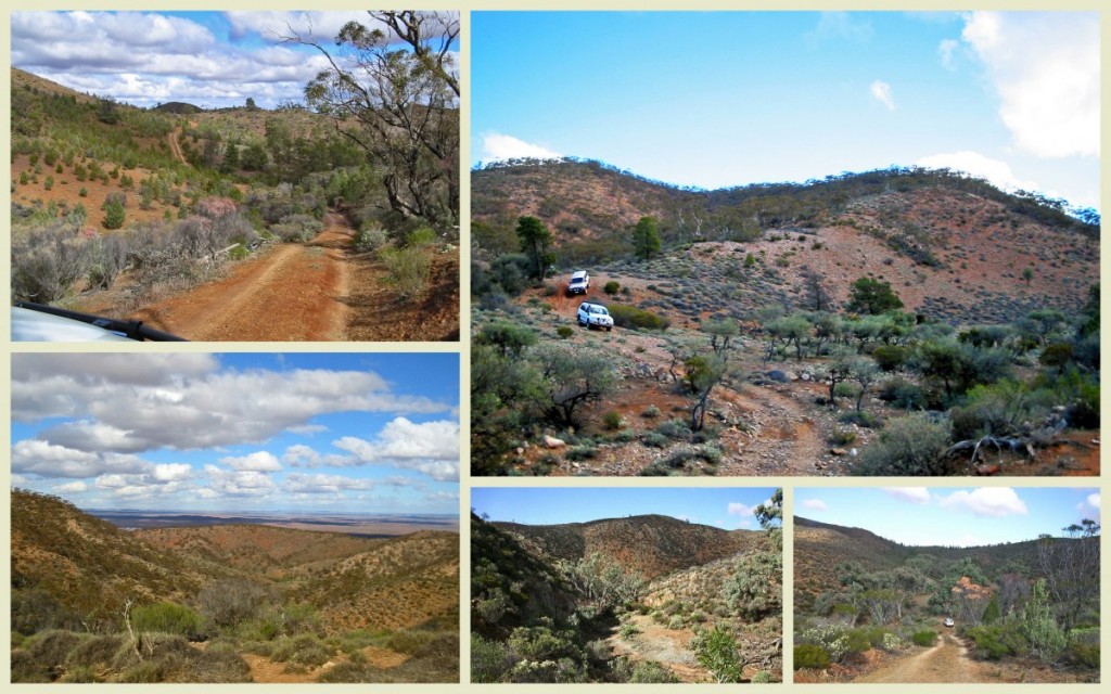 Bendleby Ranges Outback 4WD Adventure Tour